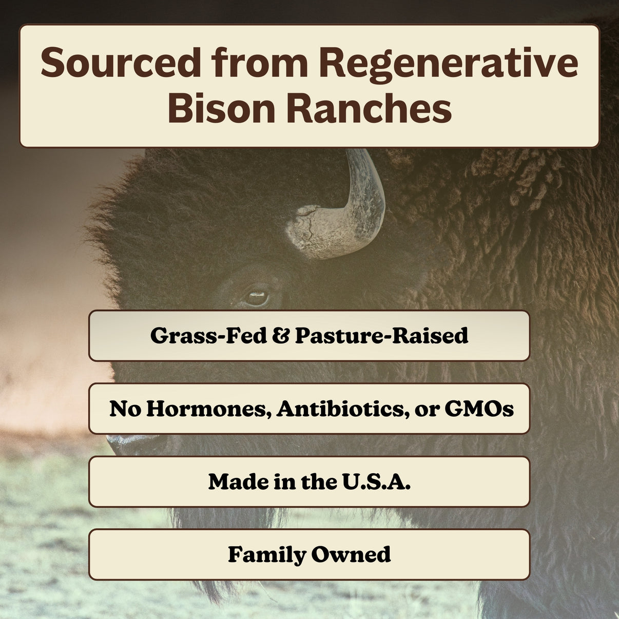 American Beast – Grass-Fed Bison Organs Supplement for Strength ...