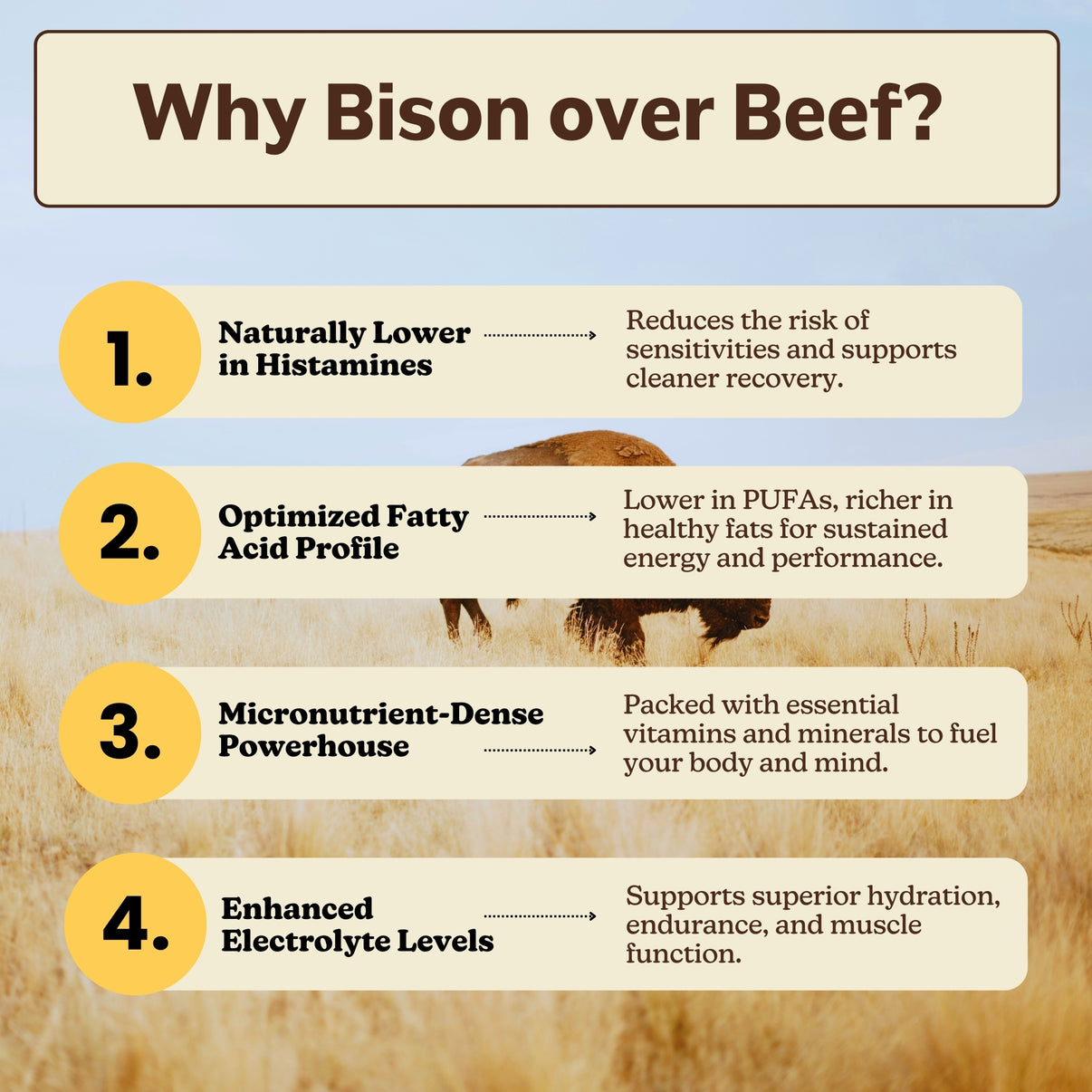 American Beast – Grass-Fed Bison Organs Supplement for Strength ...
